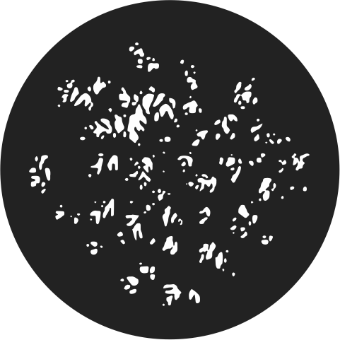 V1000P PROFILE